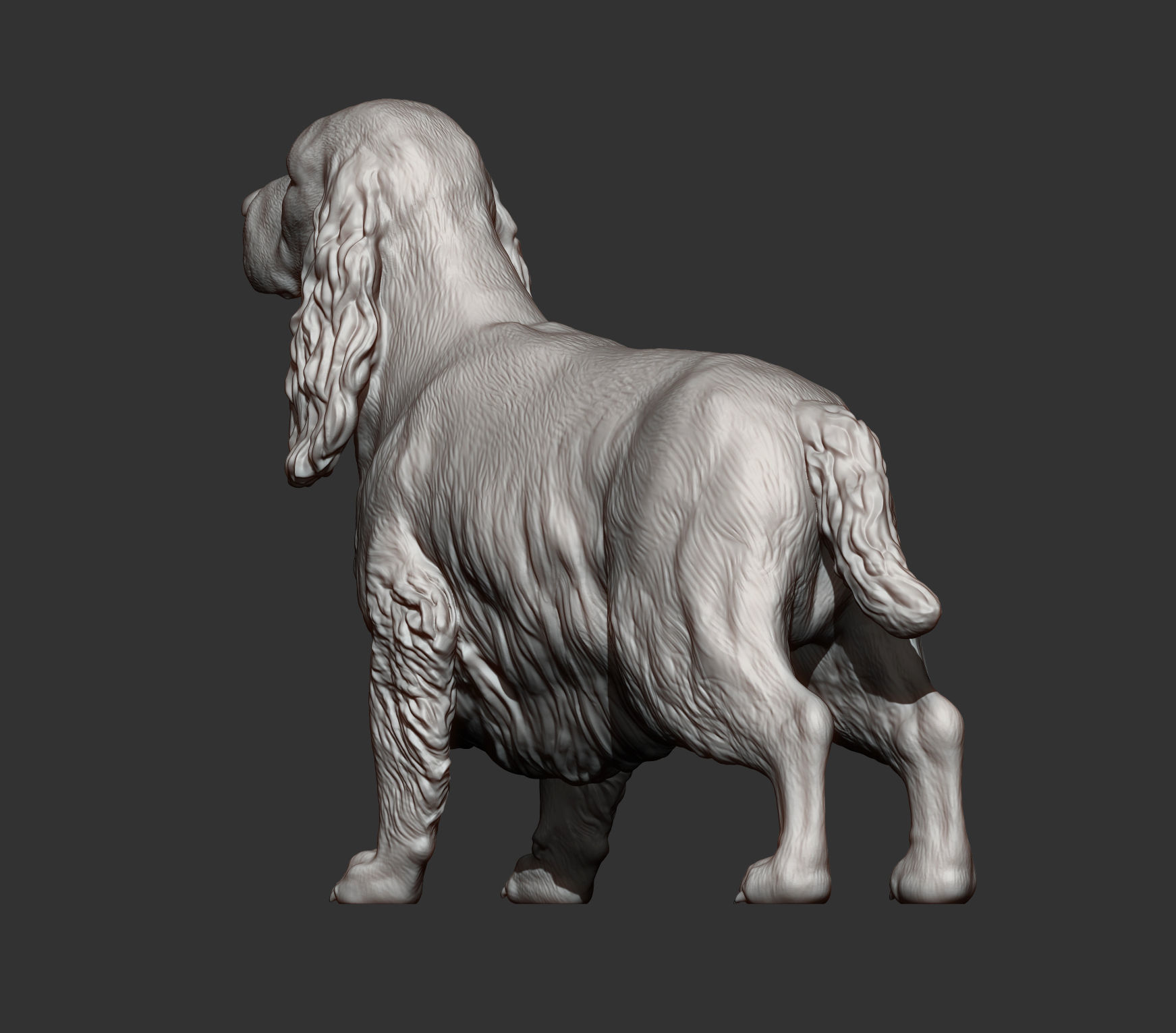 English Cocker Spaniel 3D model 3D printable | CGTrader