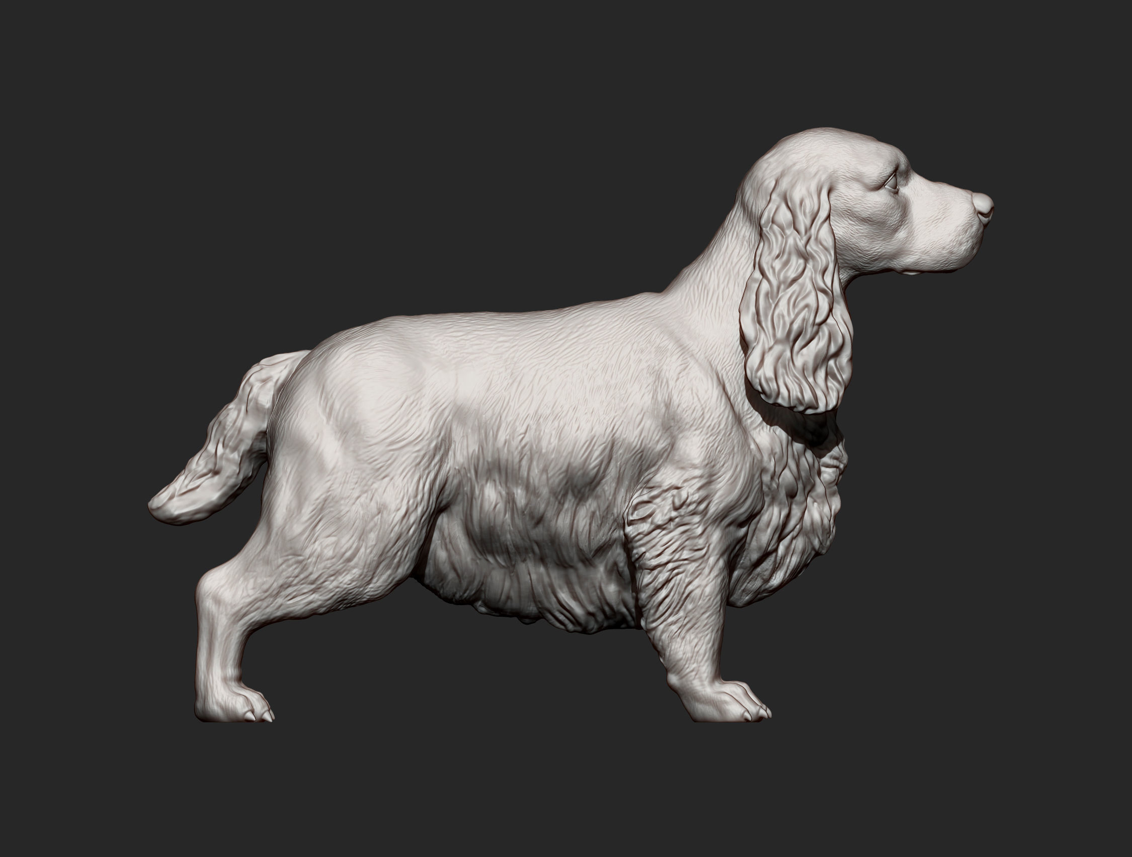 English Cocker Spaniel 3D model 3D printable | CGTrader