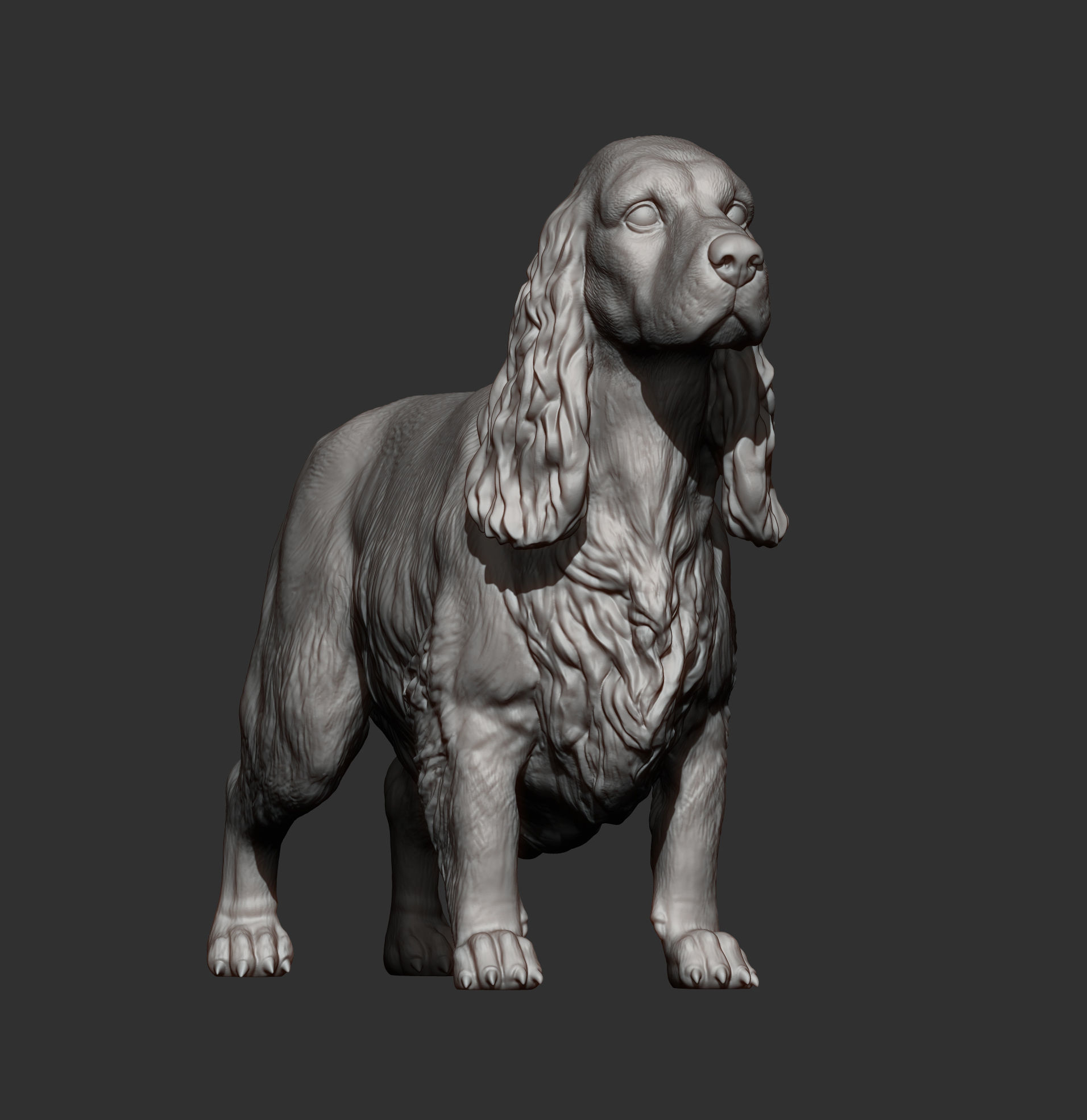 English Cocker Spaniel 3D model 3D printable | CGTrader