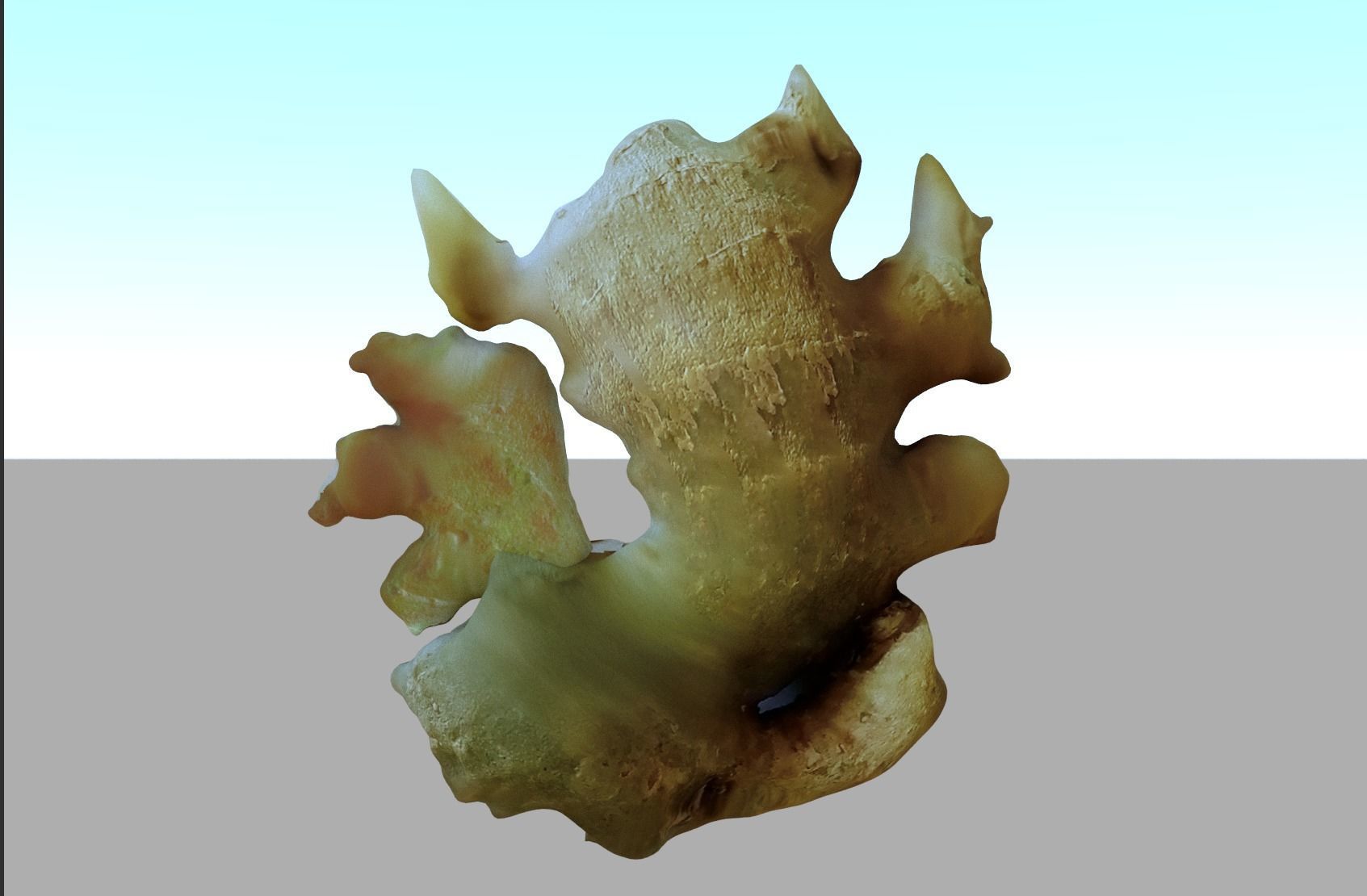 Ginger CG model download Ginger game assets 3D model | CGTrader