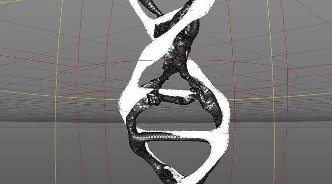 dna 3d model strand 3D model animated | CGTrader