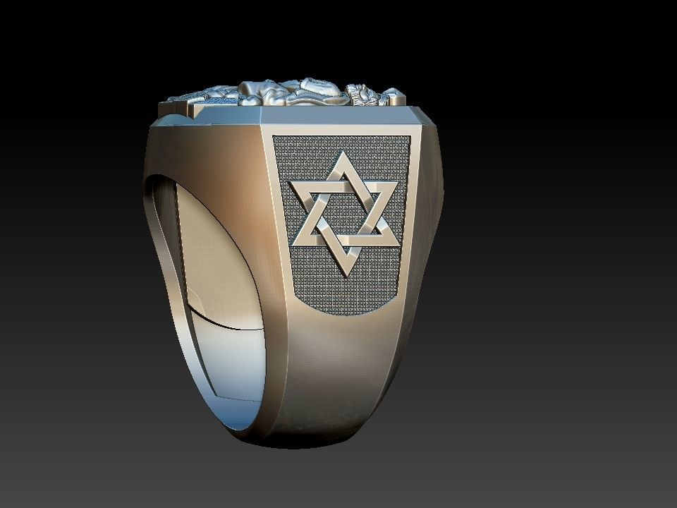 King David Ring - Rei Davi 3D model 3D printable | CGTrader