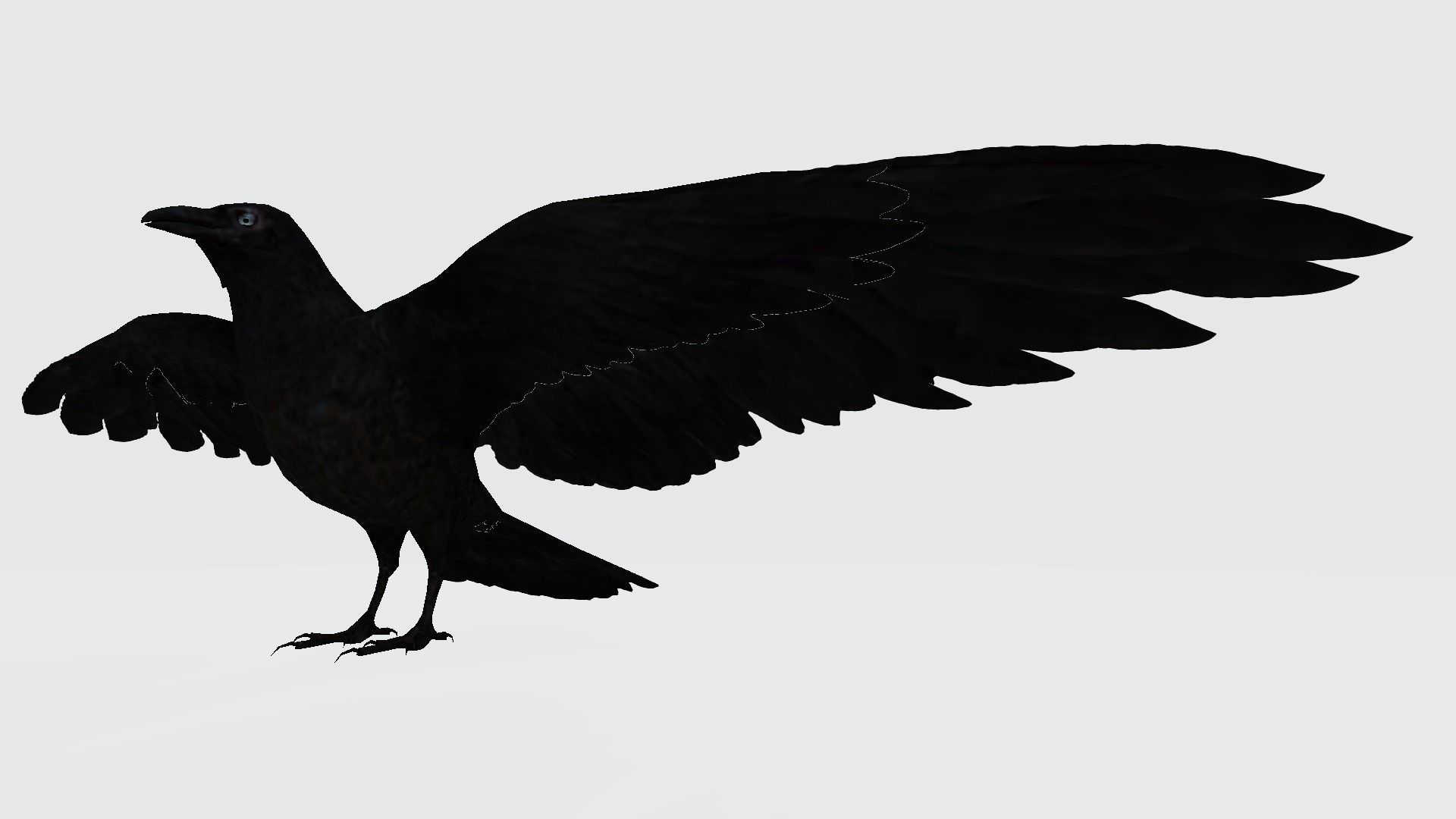 Crow 3d raven with wings spread 3D model | CGTrader