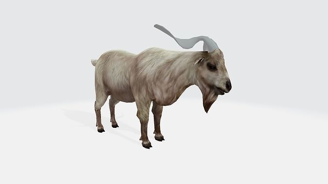 Goat 3d with long horns 3D model | CGTrader