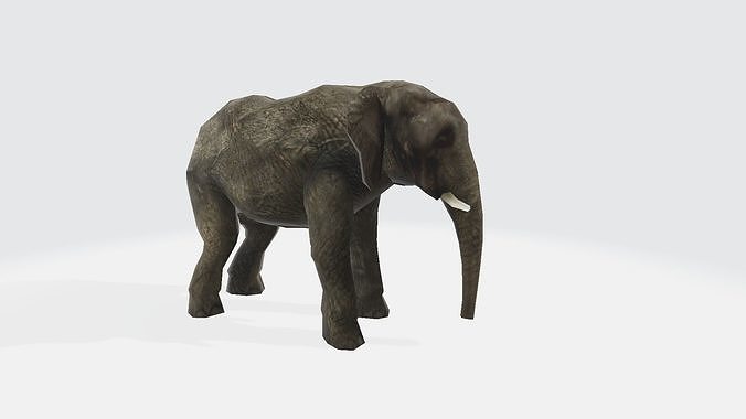 Elephant 3D model | CGTrader