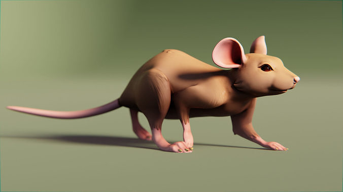 3D model Mouse VR / AR / low-poly | CGTrader