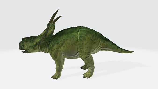 Achelousaurus dinosaur 3D model | CGTrader