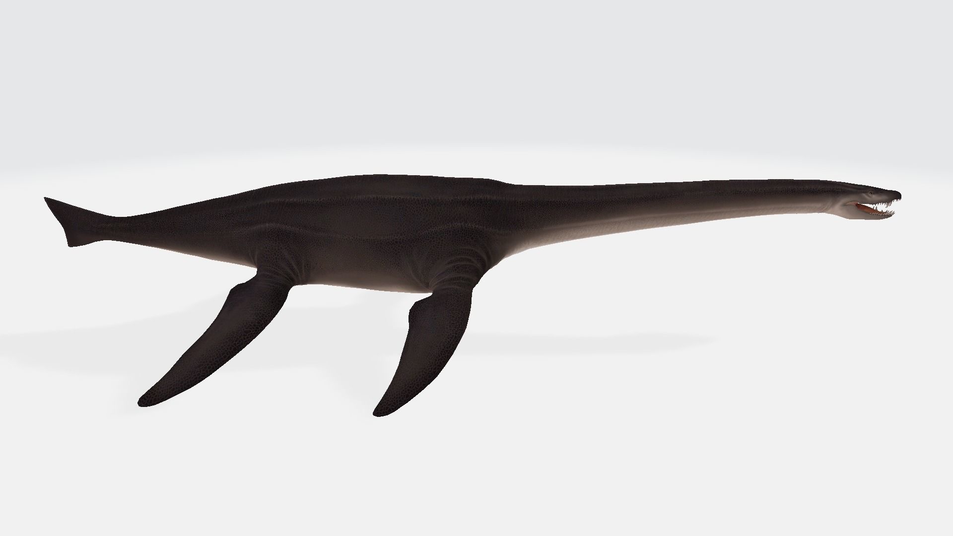 Attenborosaurus dinosaur 3D model | CGTrader