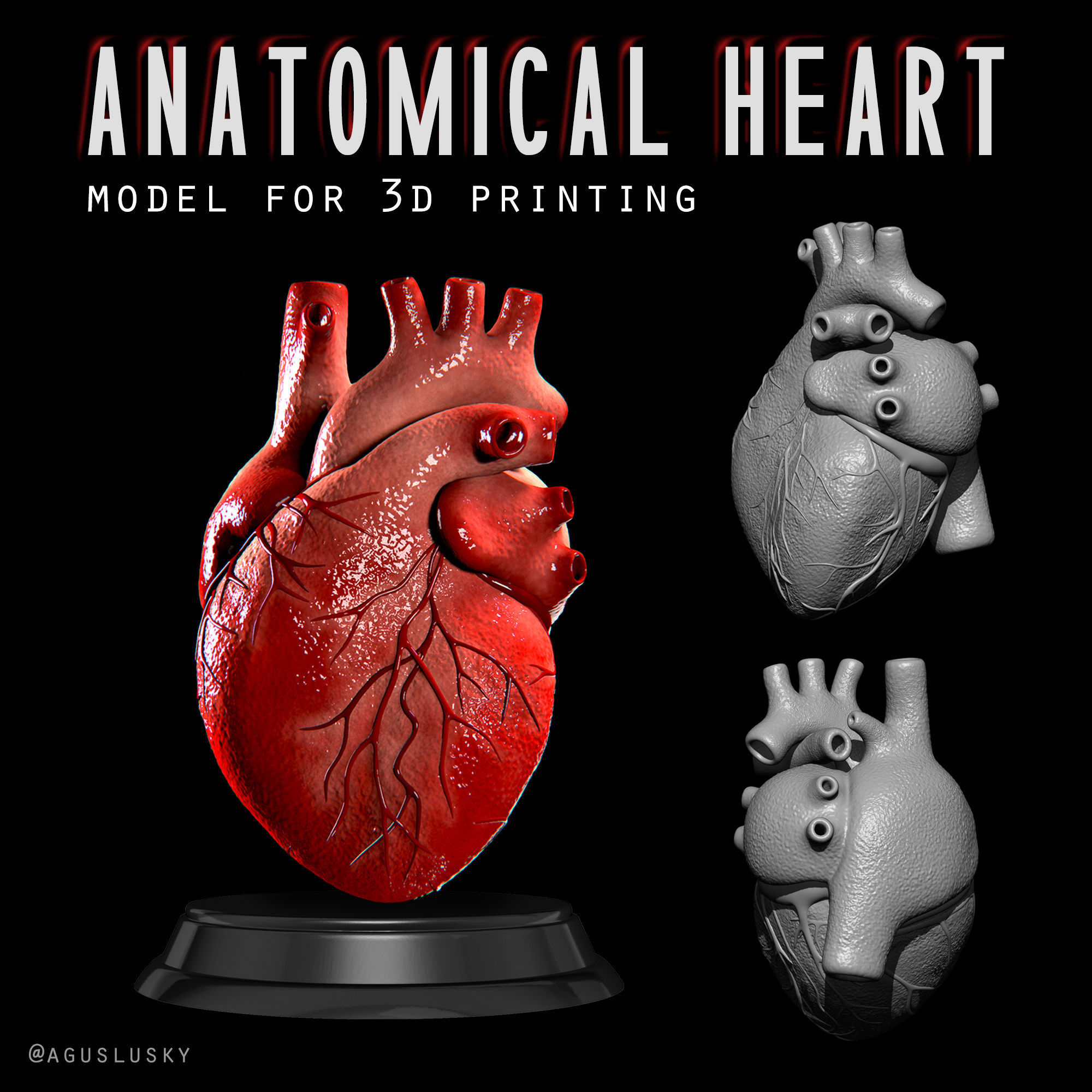 Anatomical Human Heart 3D model 3D printable | CGTrader