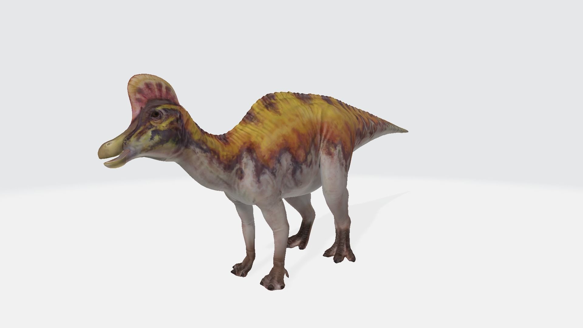 Corythosaurus dinosaur 3D model | CGTrader