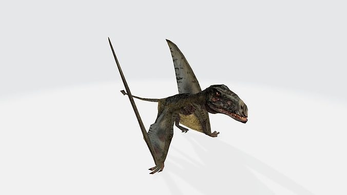 Dimorphodon dinosaur with long tail 3D model | CGTrader