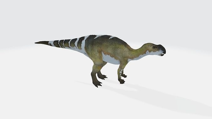 Muttaburrasaurus 3D model | CGTrader