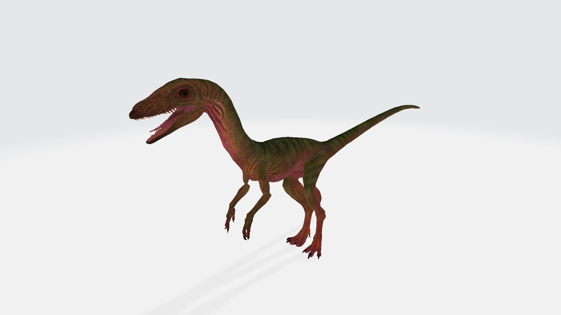 Eoraptor dinosaur 3D model | CGTrader
