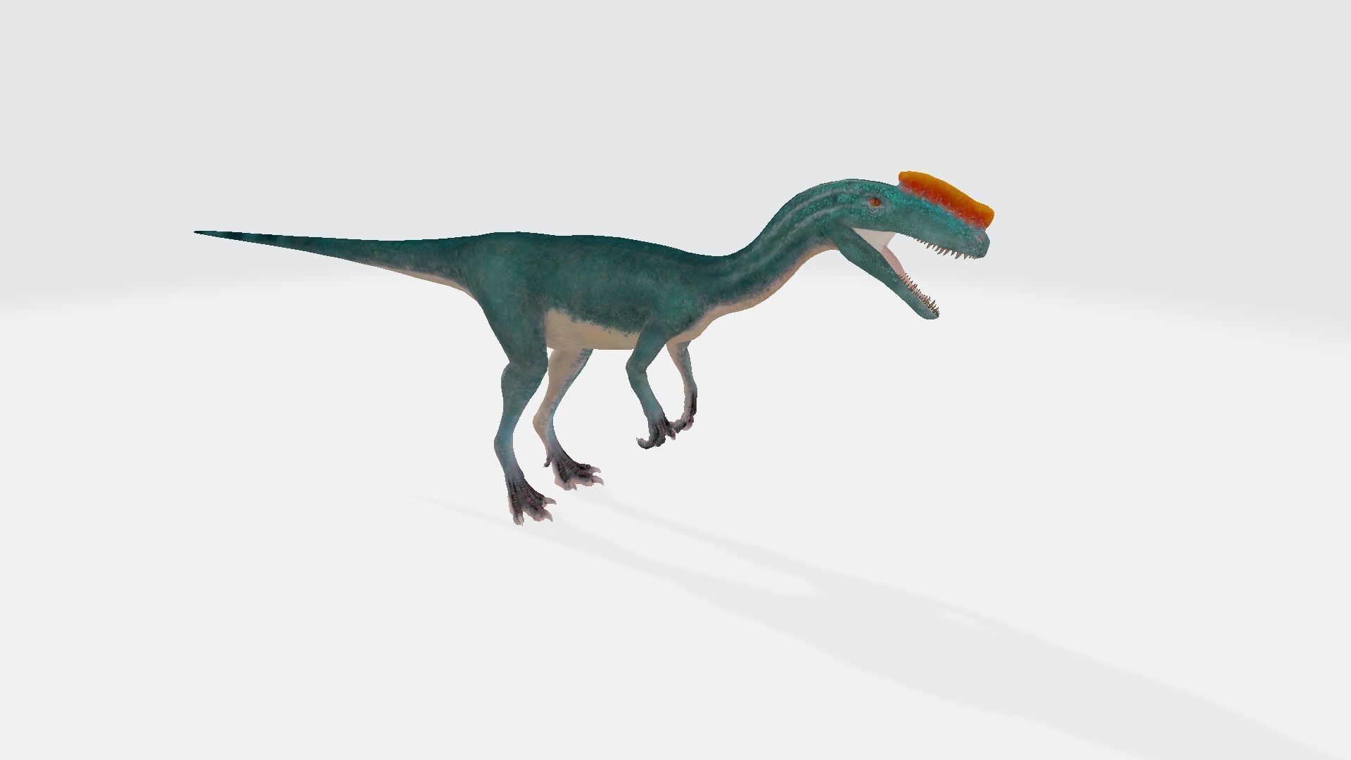 Proceratosaurus dinosaur with orange beak 3D model | CGTrader
