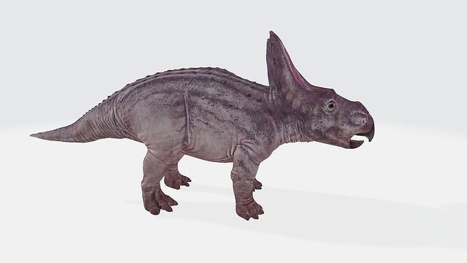 Protoceratops 3D model | CGTrader
