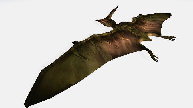 pterodon bat flying 3D model | CGTrader