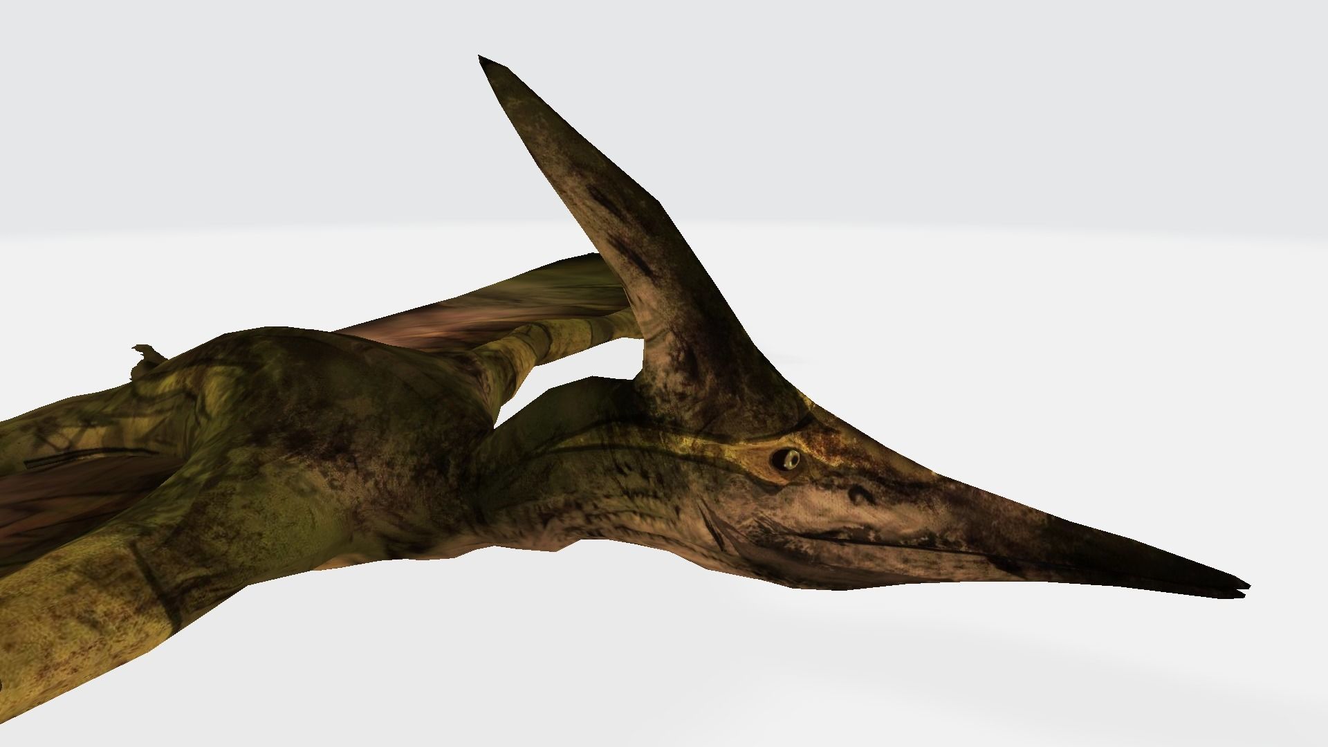 pterodon 3D model | CGTrader