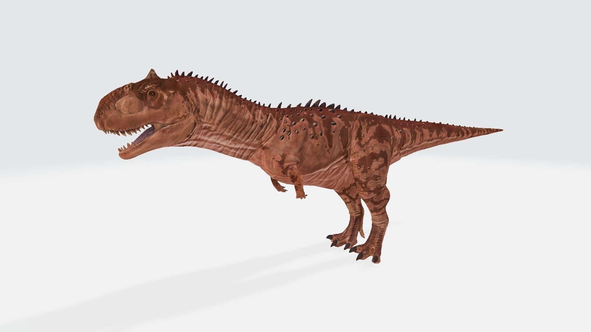 Rajasaurus t - rex dinosaur 3D model | CGTrader