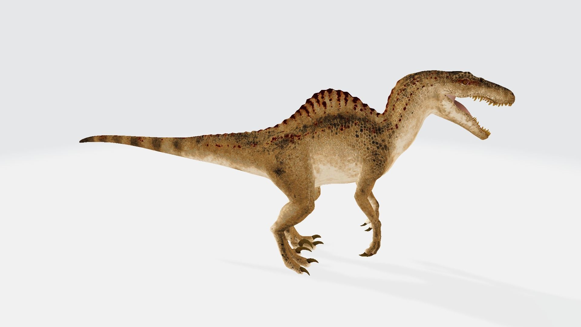 Spinoraptor dinosaur 3D model | CGTrader