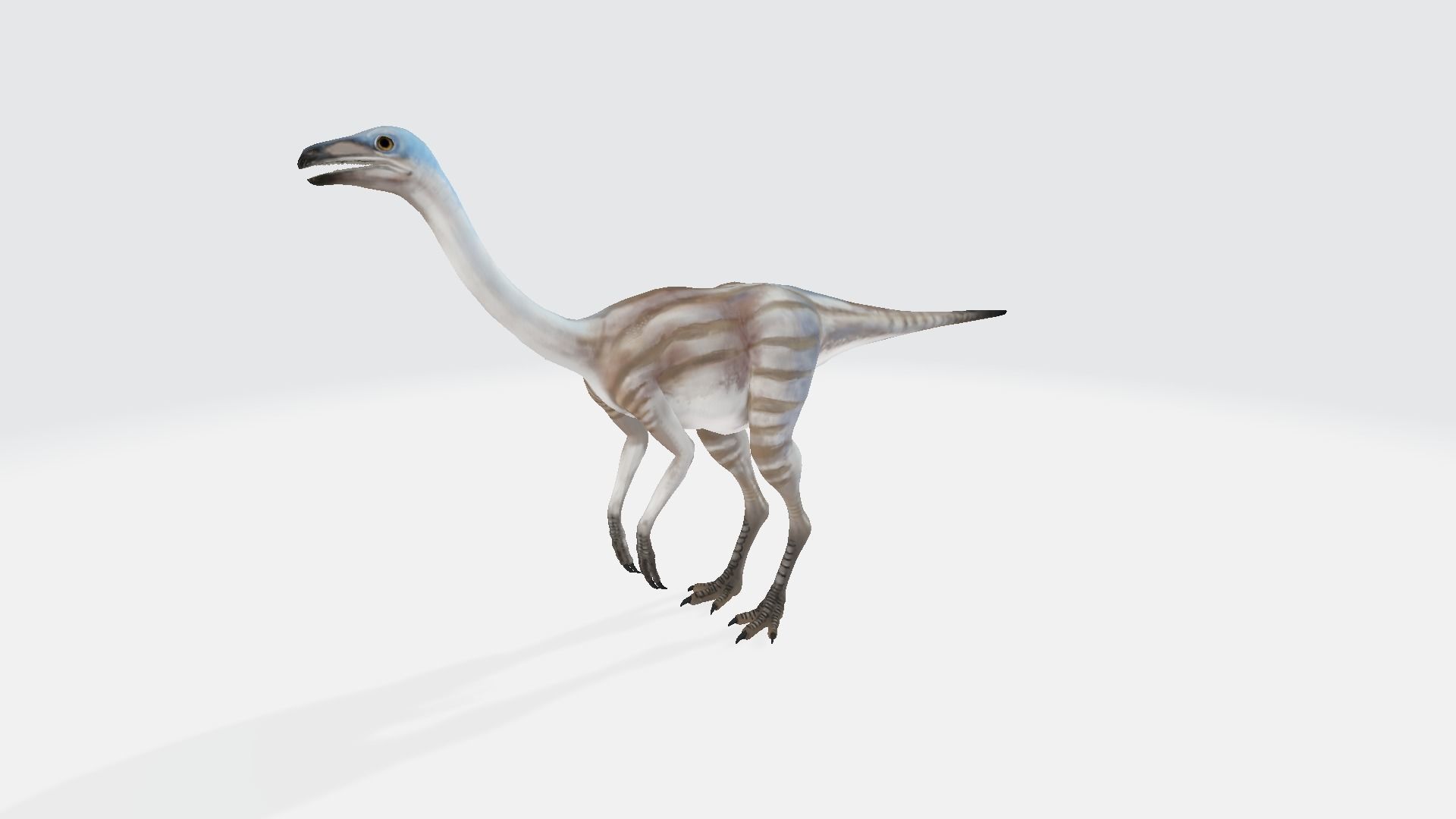 Struthiomimus 3D model | CGTrader