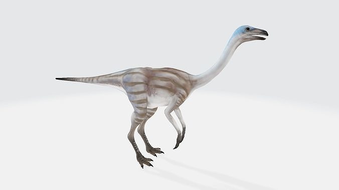 Struthiomimus 3D model | CGTrader