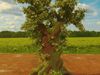 Stylished Old Tree free 3D model | CGTrader