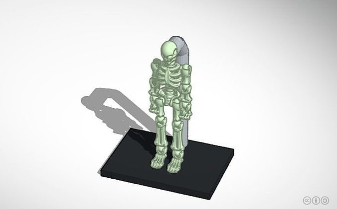 human skeleton 3D model 3D printable | CGTrader