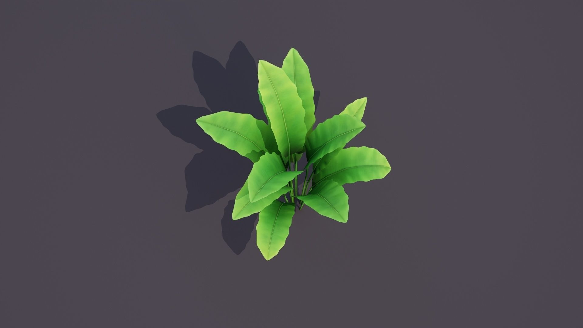 3D model Banana Tree Plant VR / AR / low-poly | CGTrader