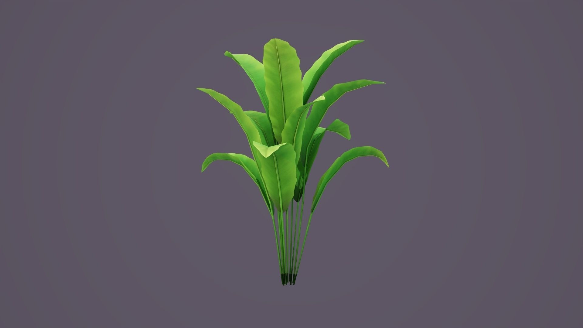 3D model Banana Tree Plant VR / AR / low-poly | CGTrader