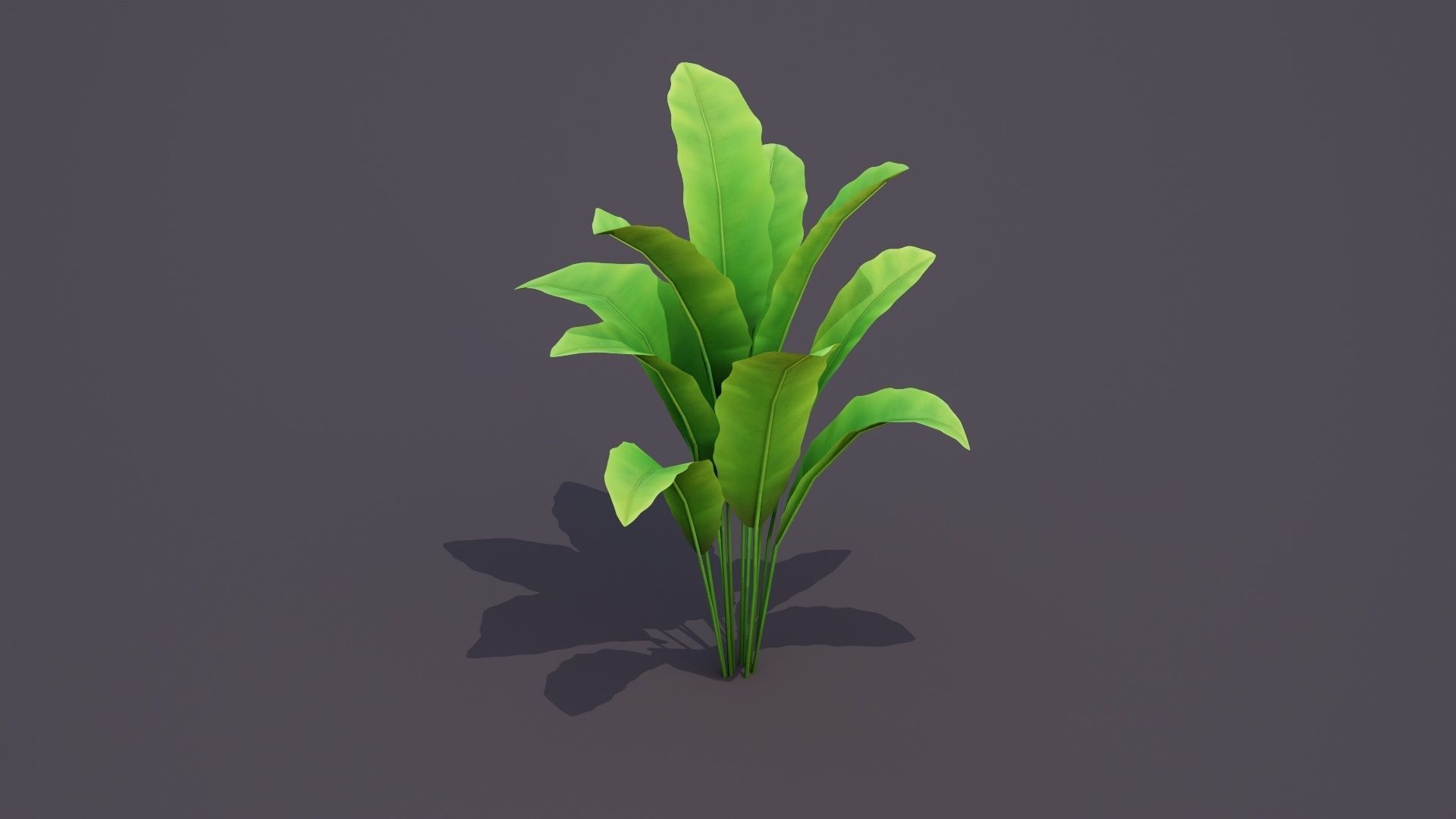 3D model Banana Tree Plant VR / AR / low-poly | CGTrader
