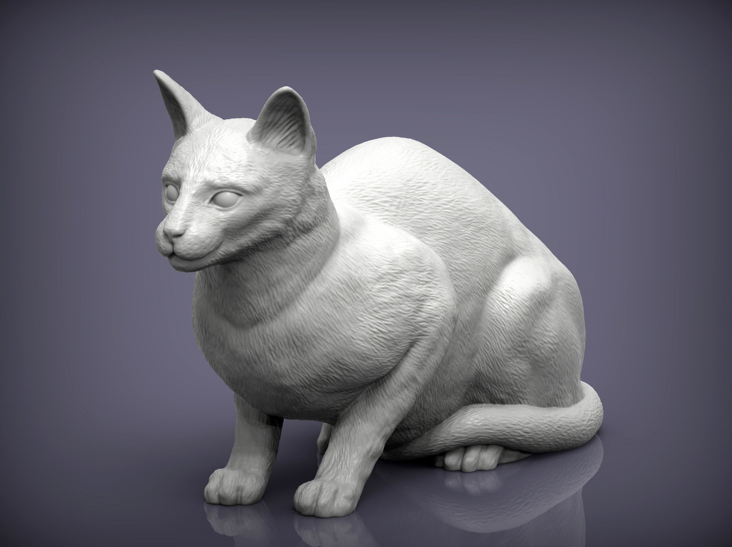 Siamese cat 3D model 3D printable | CGTrader