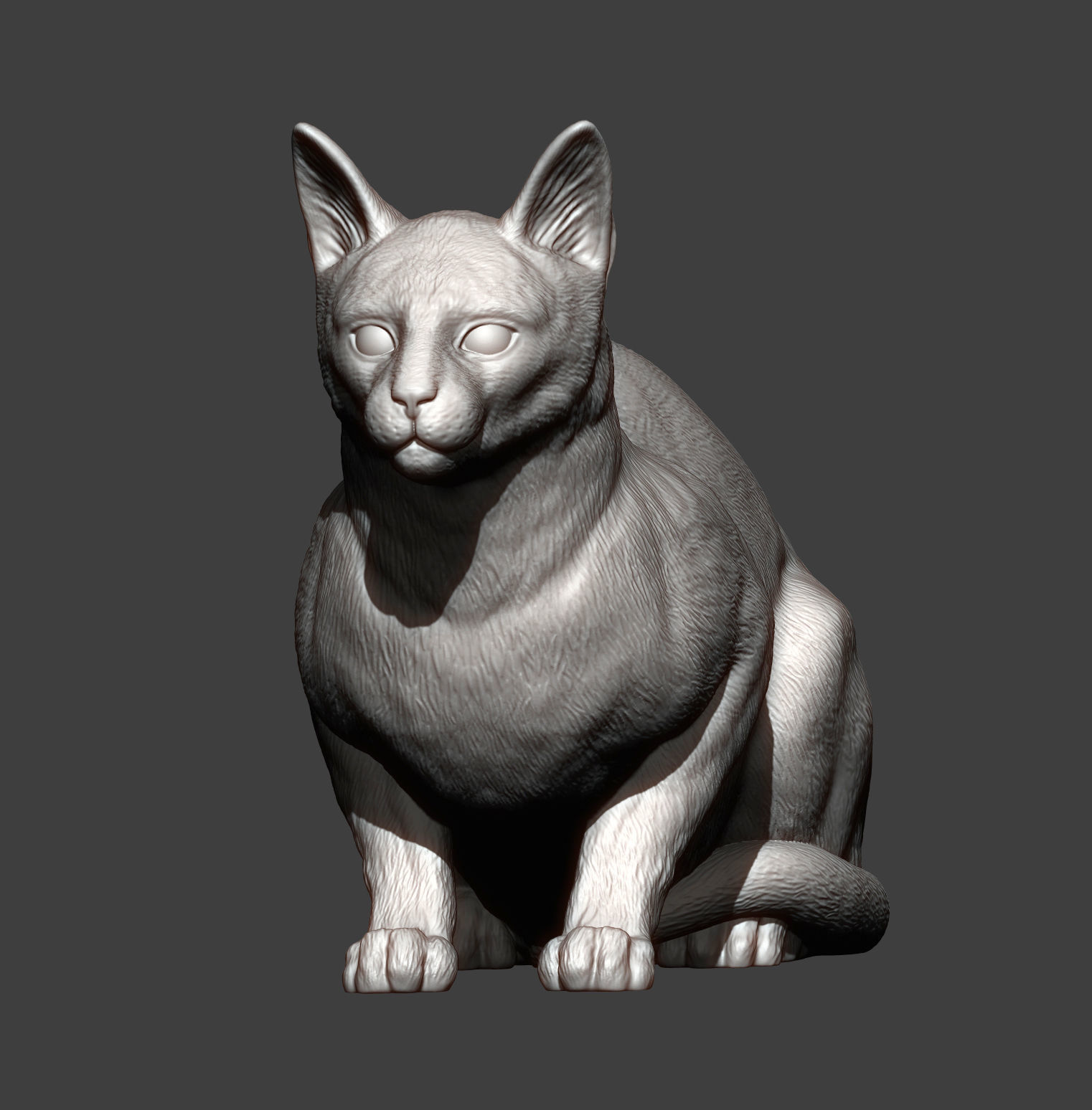 Siamese cat 3D model 3D printable | CGTrader