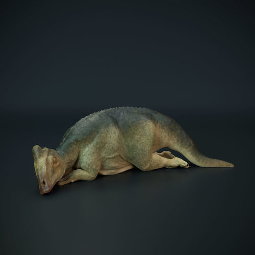 Baby Parasaurolophus
