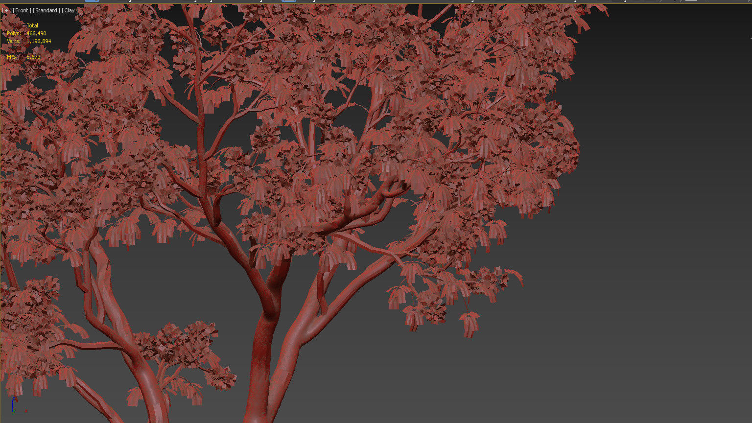 Tabebuia rosea 3D model | CGTrader