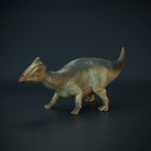 Baby Parasaurolophus
