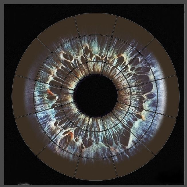 3D model Human eye photoreal - low poly - GameReady VR / AR / low-poly ...