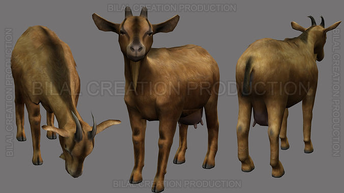 ANIMATED GOAT 3D model animated rigged | CGTrader