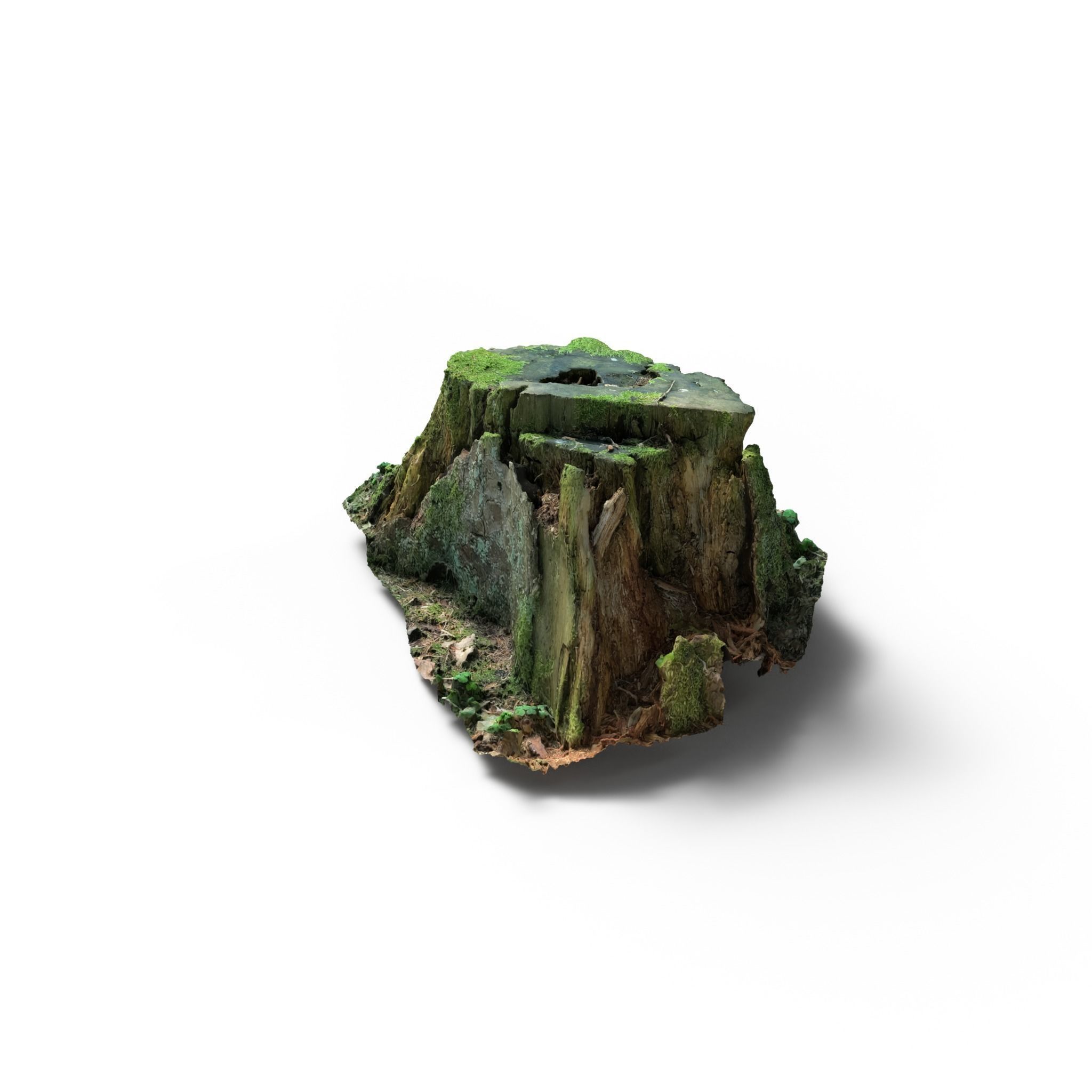 Forest Tree Stump 4K -Part 7- free VR / AR / low-poly 3D model | CGTrader
