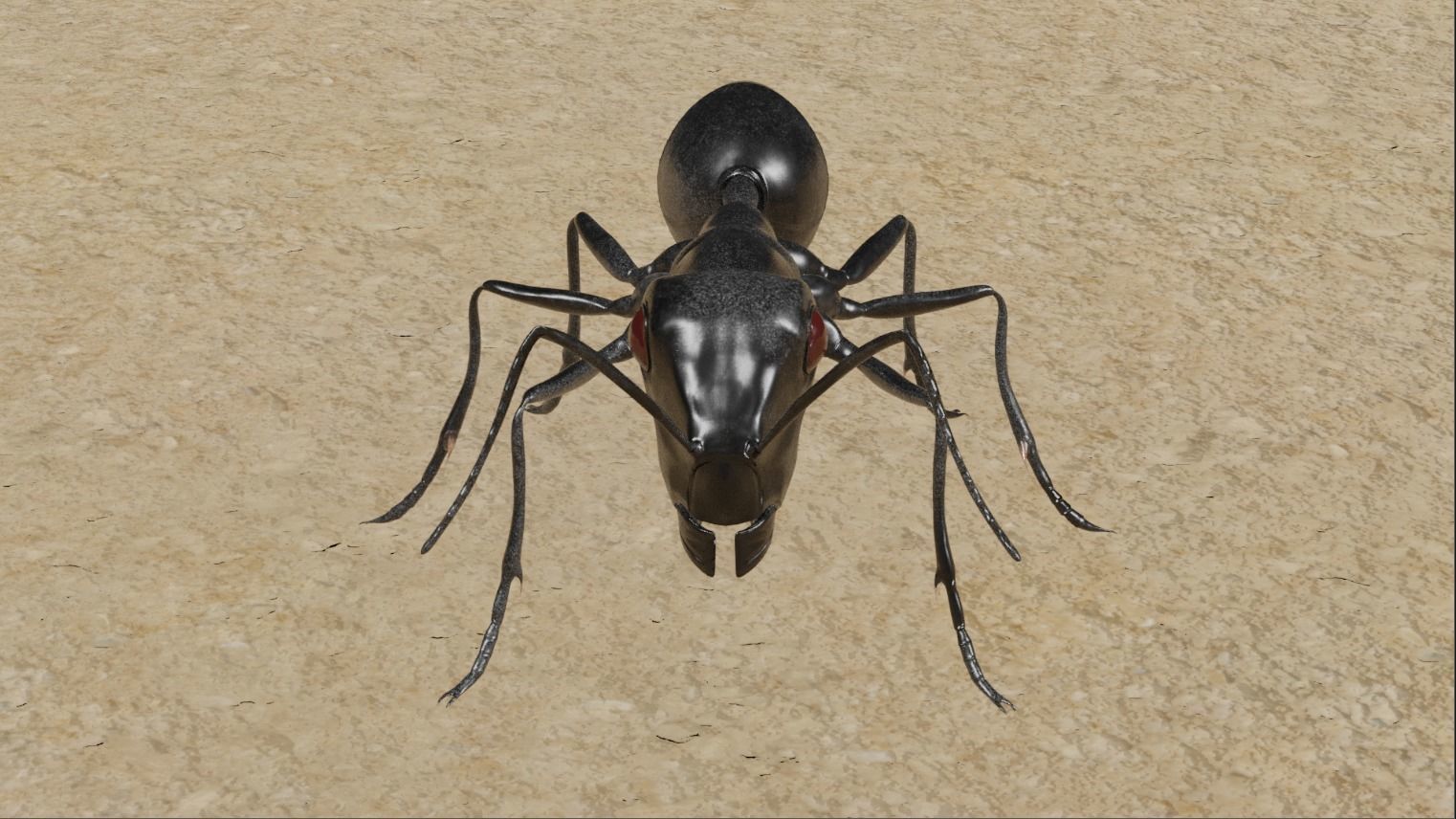 Realistic Black Ant 3D model | CGTrader