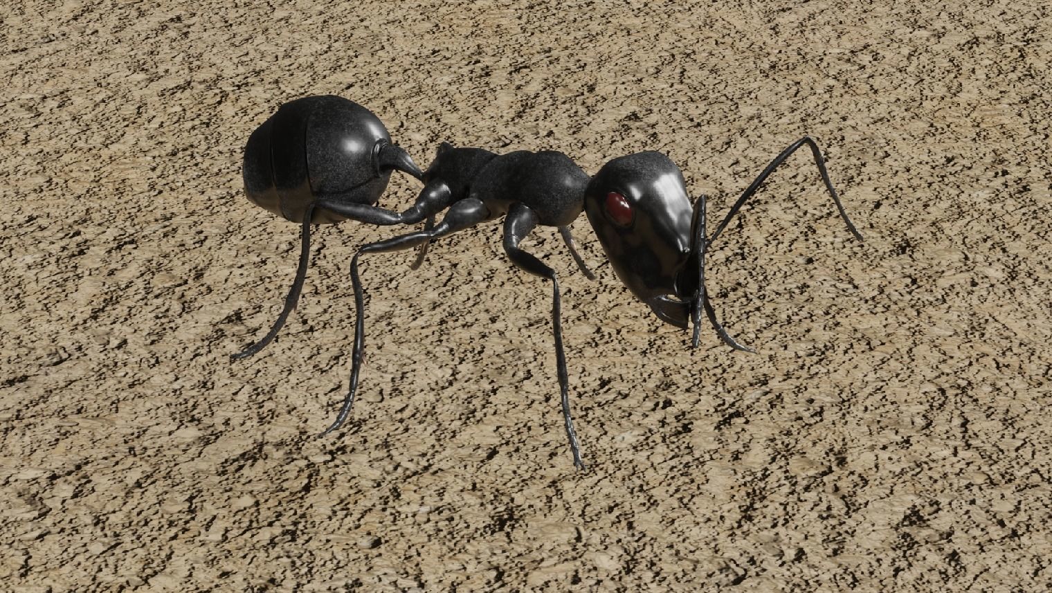 Realistic Black Ant 3D model | CGTrader