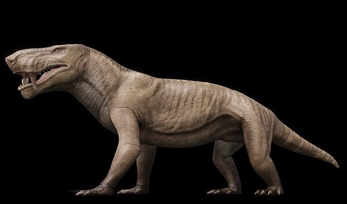 Gorgonopsid Vst Rex