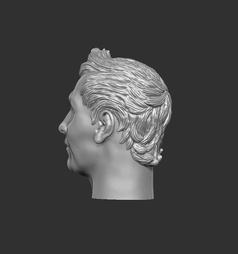 Head 1 bust of julius caesar 3D model 3D printable | CGTrader