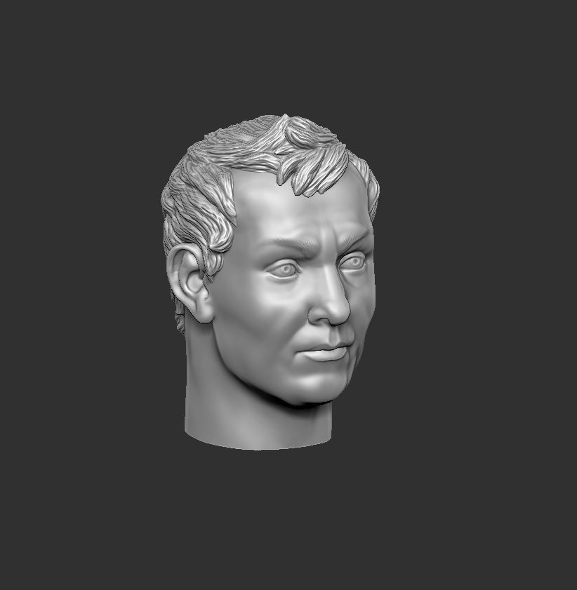 Head 1 bust of julius caesar 3D model 3D printable | CGTrader