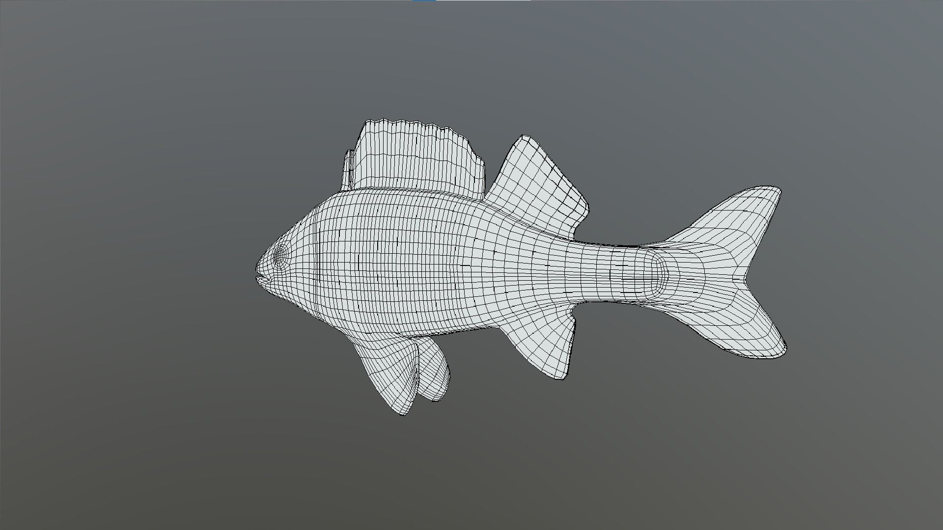 Bass - Fish free VR / AR / low-poly 3D model animated rigged | CGTrader