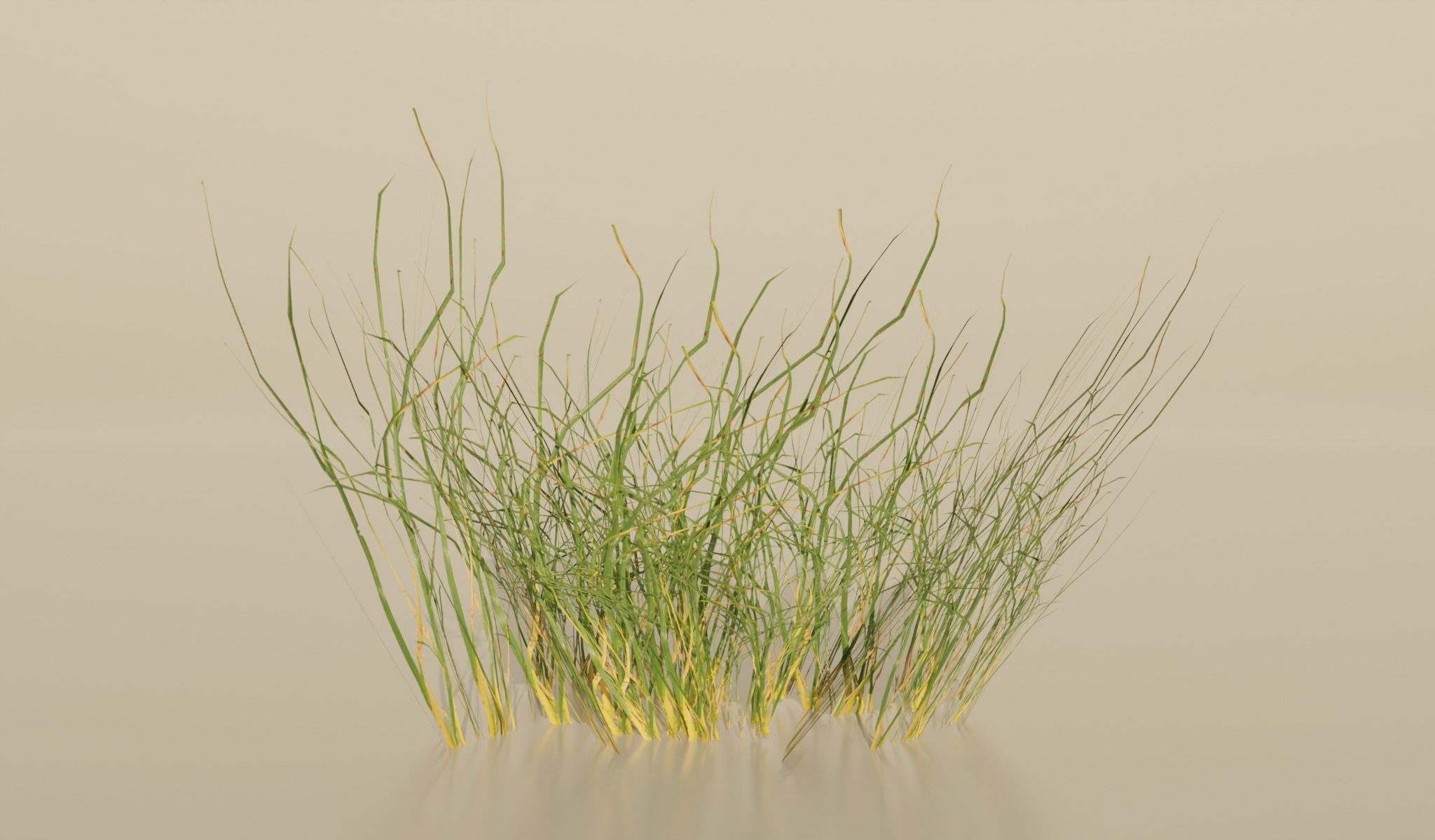 Realistic Grass Pack For Games free VR / AR / low-poly 3D model | CGTrader