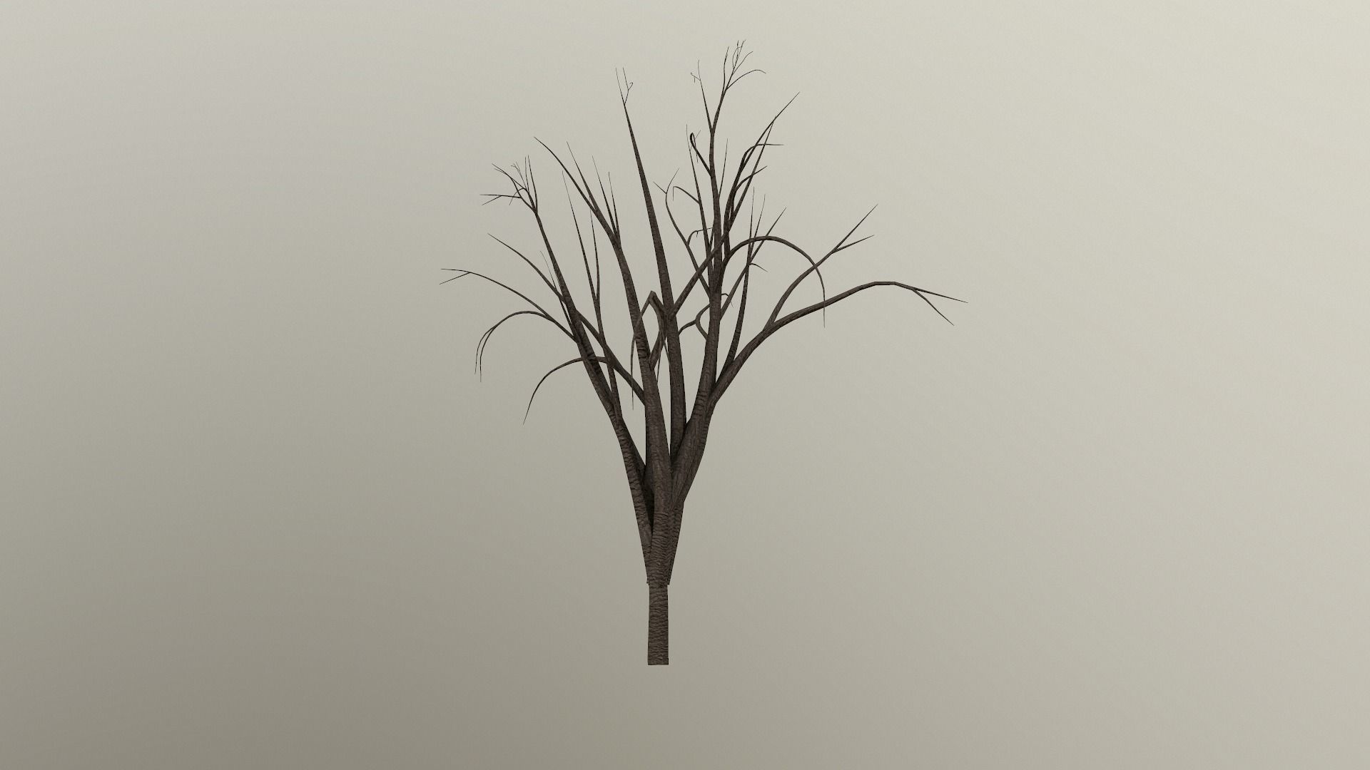 Dead Tree 2 free VR / AR / low-poly 3D model | CGTrader