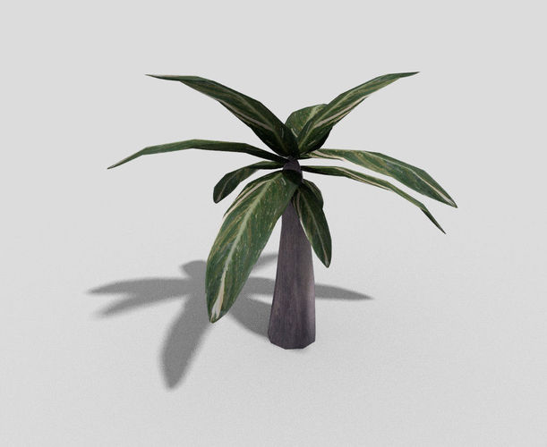 3D model Low poly Plant VR / AR / low-poly | CGTrader