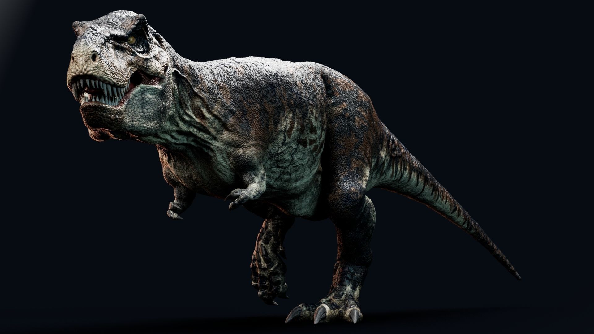 3D model Tyrannosaurus Rex Sue Real Dinosaur Series VR / AR / low-poly ...