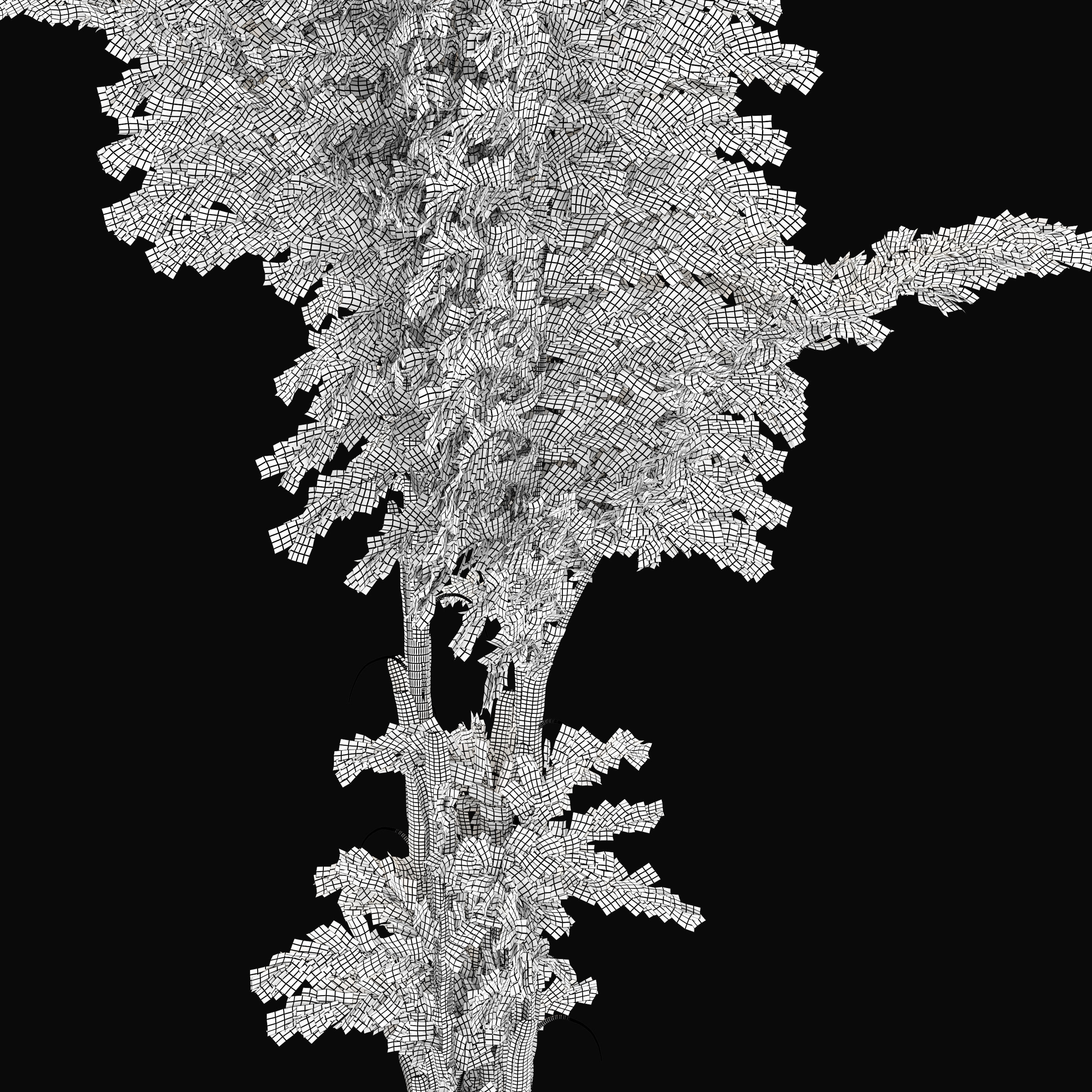 Fishtail palm 3D model | CGTrader