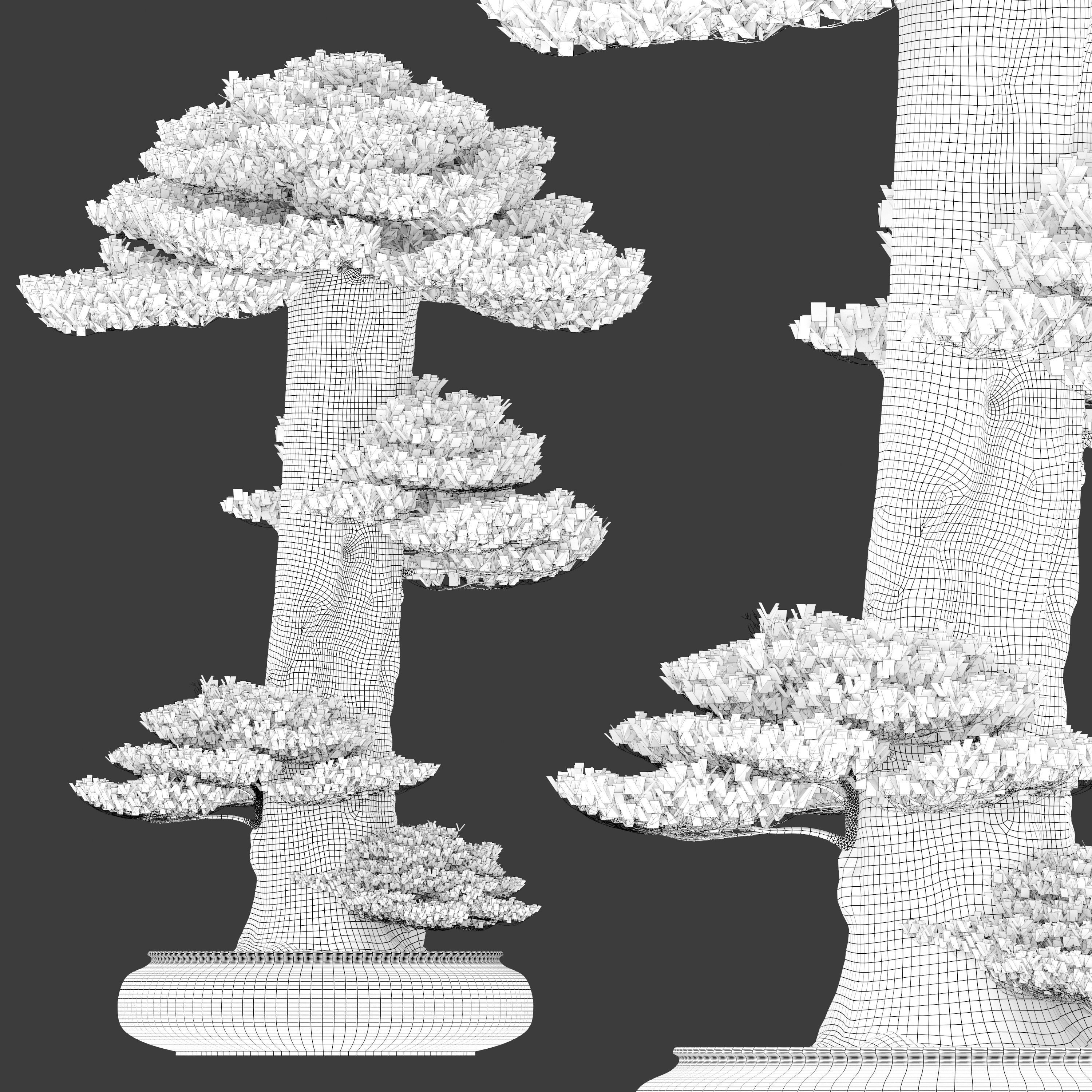Bonsai plant 07 3D model | CGTrader